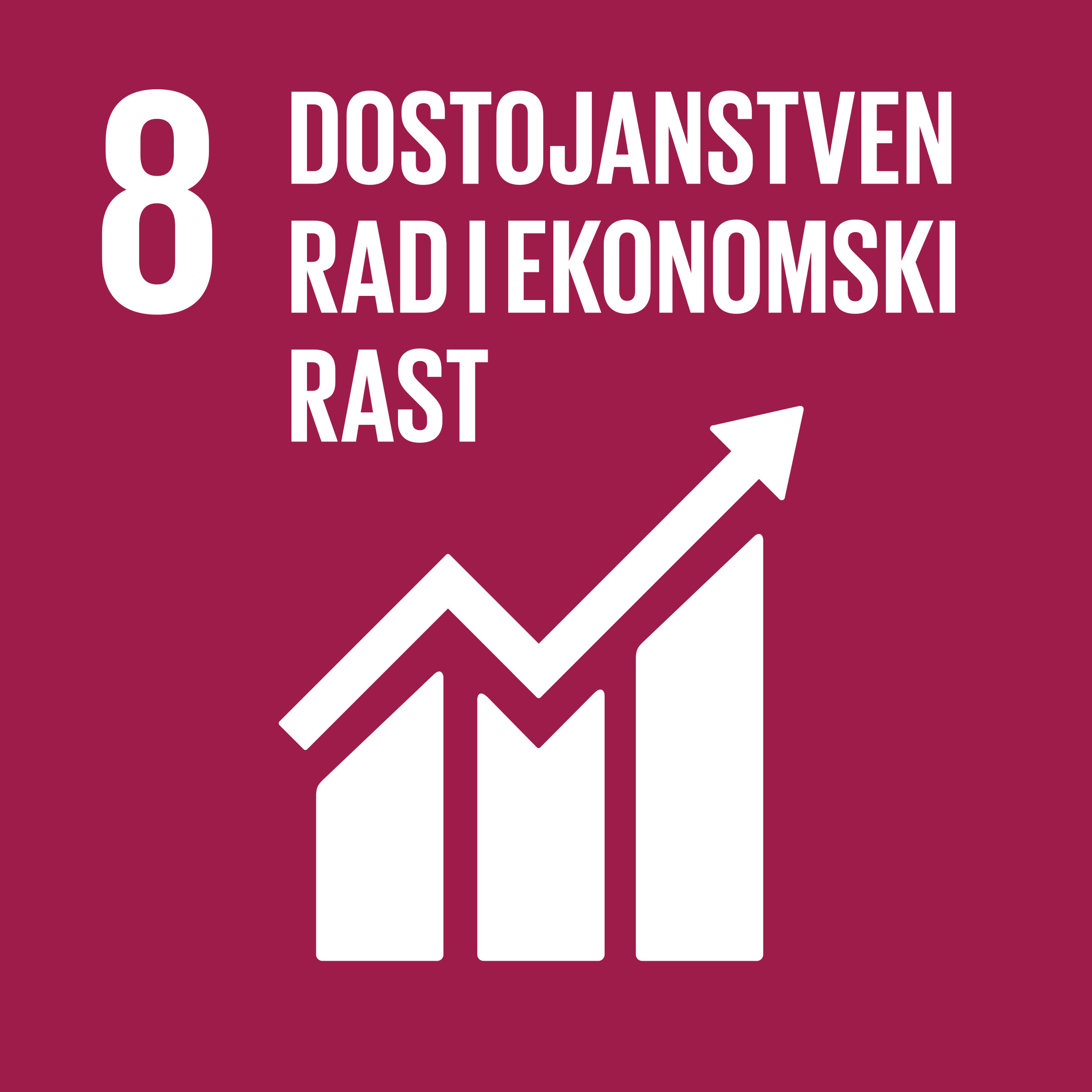 SDG Cilj 8. Dostojanstven rad I ekonomski rast – Zamisli 2030