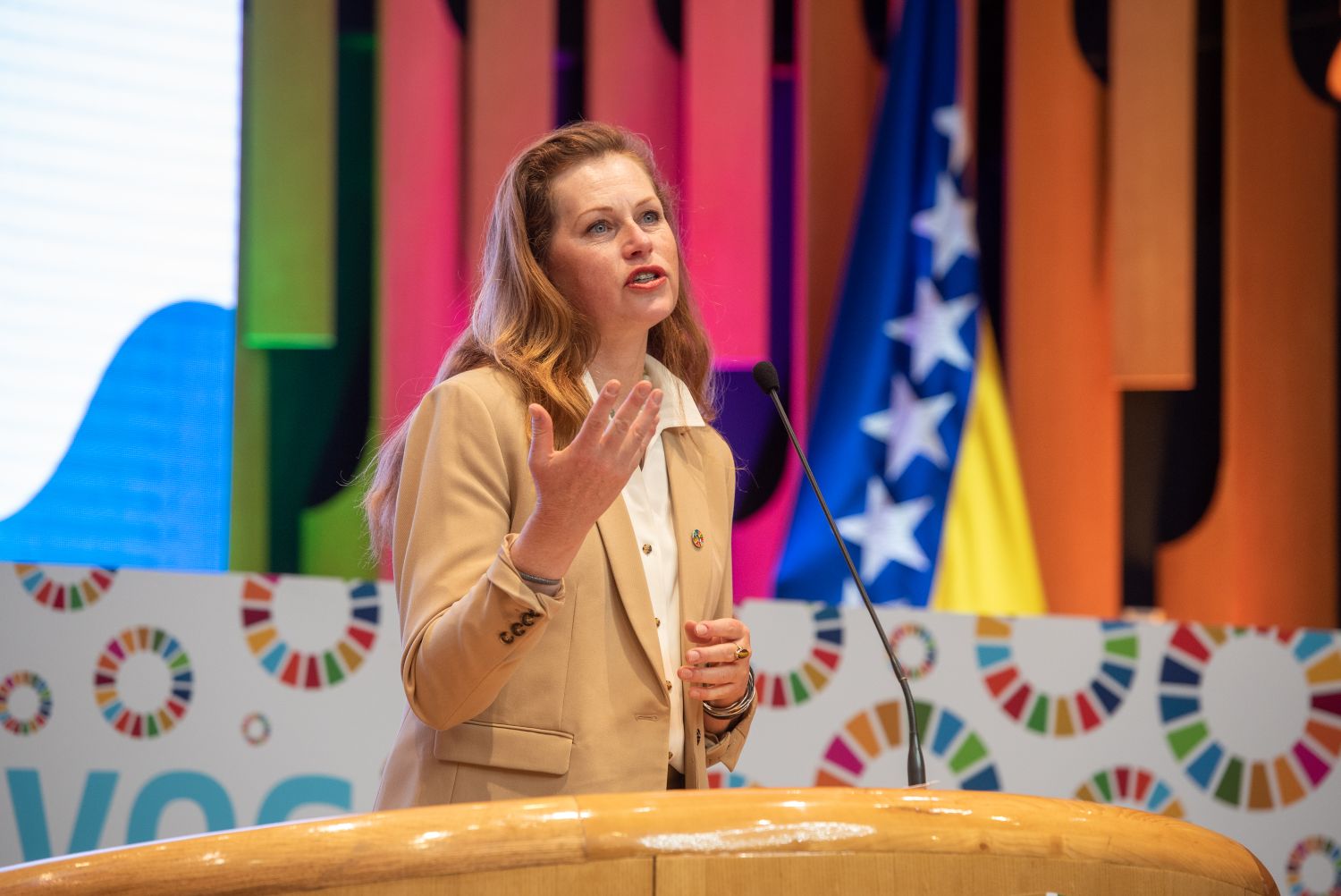 Sustainable Development Goals in BiH: Contribution to the Agenda 2030 ...