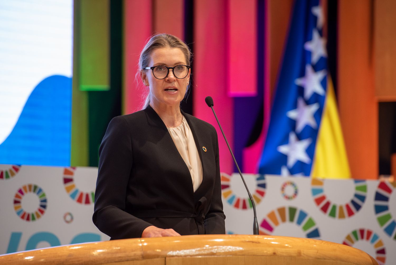Sustainable Development Goals in BiH: Contribution to the Agenda 2030 ...